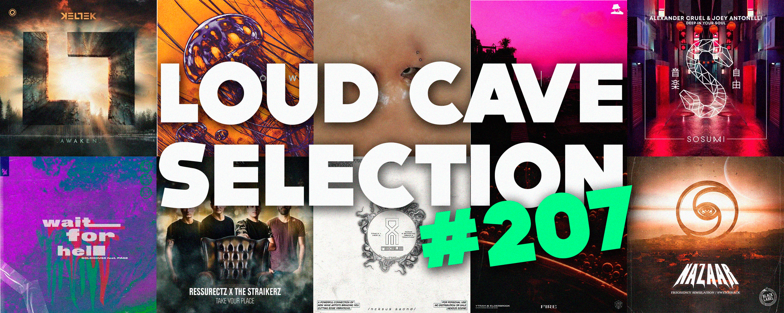 Loud Cave Selection #207